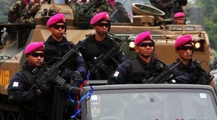 Profil Pasukan Denjaka TNI AL, Pasukan Elit Indonesia yang Misterius - HobbyMiliter.com